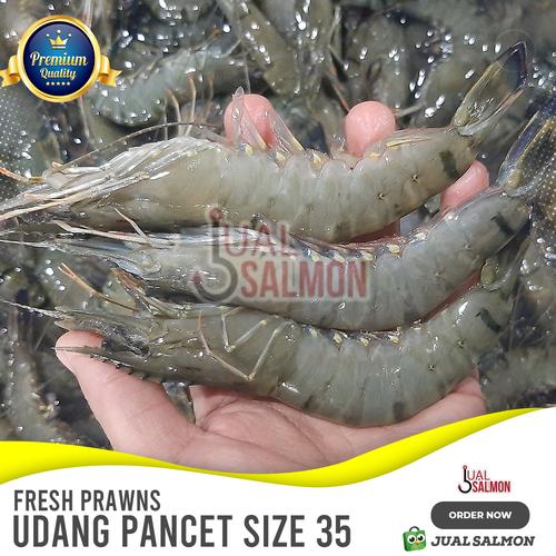 Jual Udang Pancet Sz 35 (500 Gram)/Udang Tiger/Udang Windu/Udang Segar ...