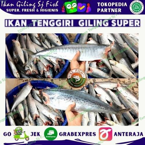 Jual Ikan Tenggiri Giling Sj Fish / Sj.Fish / Sj. Fish - Kota Tangerang ...