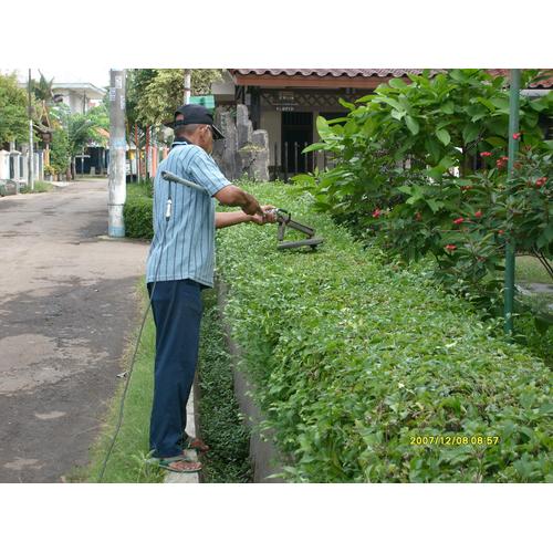 Jual Alat Potong Rumput / Alat Pangkas Tanaman Alatan 21 - Kota Bekasi ...