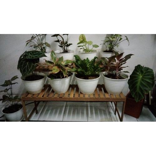 Jual Standing pot - Tempat menyimpan bunga | Rak Tanaman - Kota Bandung ...