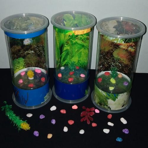 Jual Aquarium mini tabung bulat mika cocok ikan cupang guppy - Tanpa ...