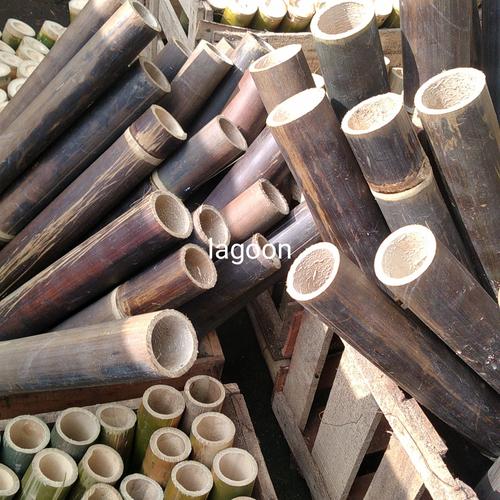 Jual bambu hitam/ bambu wulung glondongan/bambu bulat utuh 50 cm ...