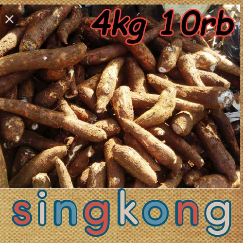 Jual singkong/pohong/ubi kayu - Kab. Malang - ravenya future | Tokopedia