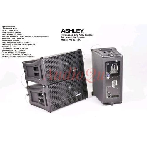 Jual Speaker Line Array Ashley PRO DB110A/ PRODB110A/ PRO DB 110A ...