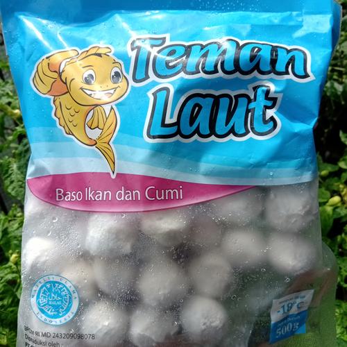 Jual Teman Laut Bakso Cumi Kemasan 500gram - Kota Palembang - Dunia ...