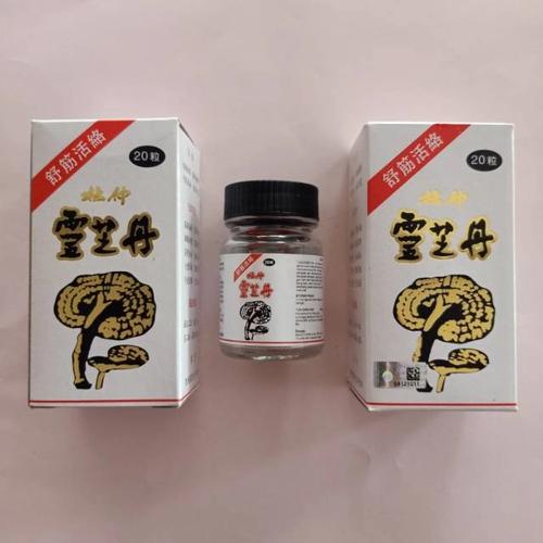 Jual DU ZHONG LING ZI DAN/To Tiong Ling Zi Tan/ling zi tan 20's - Kab ...