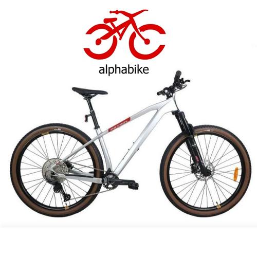 Jual SEPEDA GUNUNG MTB 29 PATROL C092 CARBON FOCUS SILVER NEW 2021 ...