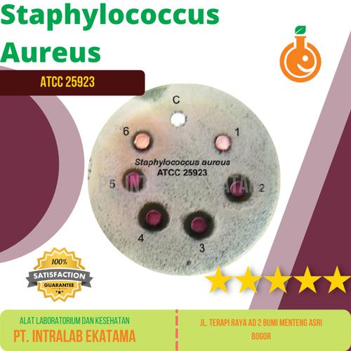 Jual Bakteri Staphylococcus aureus, strain: ATCC 25923 & 6538 (1 vial ...