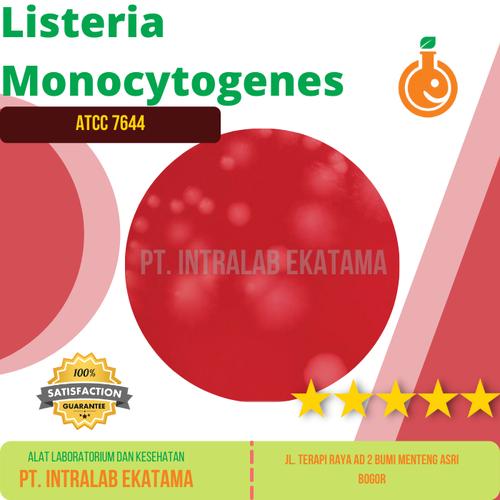 Jual Bakteri Listeria monocytogenes, strain: ATCC 7644 (1 vial) - Kota ...