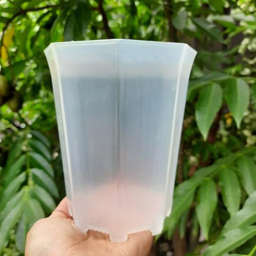 Jual Transparan Bening / Pot Tanaman 10 pot transparan pot natural ...