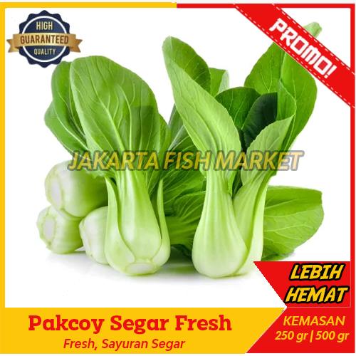 Jual Pakcoy Segar / Pakchoy Segar / Pak Choy Segar - Jakarta Utara ...