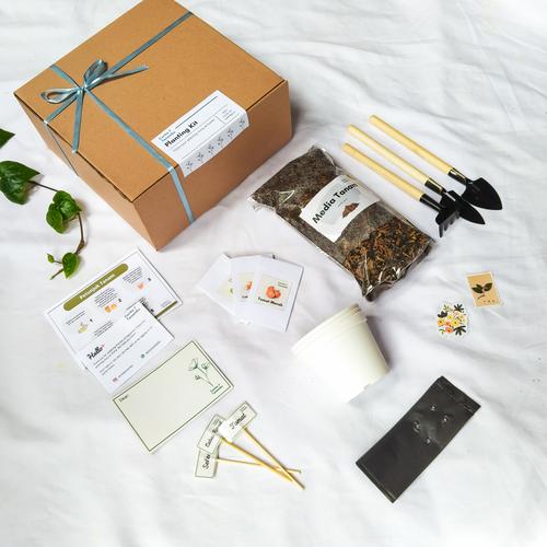 Jual DIY Planting kit medium / grow kit / hampers / gift box / sensory ...