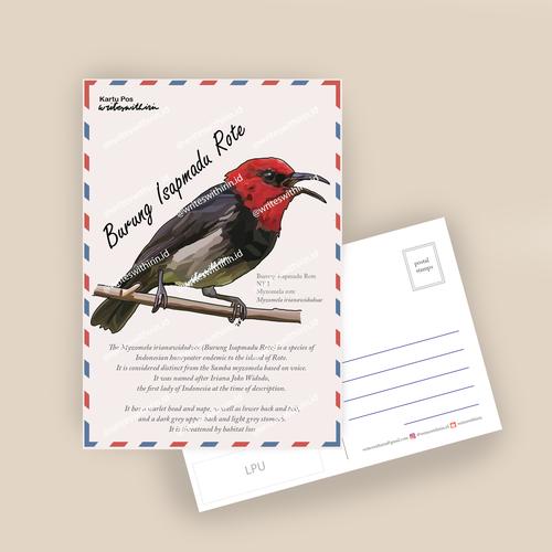 Jual (writeswithirin) Kartu Pos/ Postcard/ Post Card Fauna Indonesia ...
