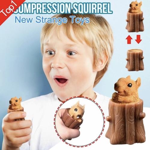 Jual Squishy Tupai Squirell Squeeze Pop It Fidget Tiktok ADHD Mainan ...