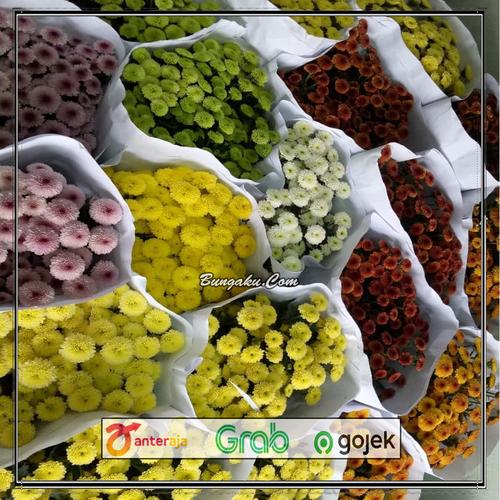 Jual bunga calimero asli segar - Jakarta Selatan - BUNGAKU.COM | Tokopedia