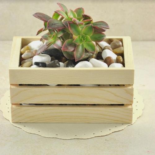 Jual POT TANAMAN SUKULEN PLANTER BOX KAYU JATI BELANDA HIASAN RUMAH ...
