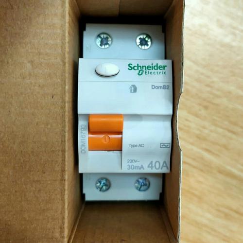 Jual ELCB/RCCB 2P 40A 30ma domae schneider - Jakarta Pusat - Electrik JR | Tokopedia