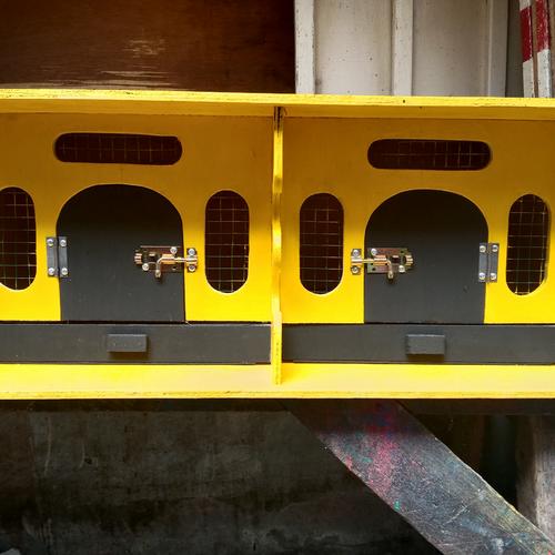 Jual kandang burung merpati dara - Jakarta Barat - gupon kandang burung ...