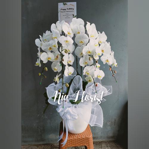 Jual hampers gift ulang tahun anggrek bulan fresh flower - Jakarta ...