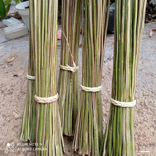 Promo sapu lidi aren asli dari lidi daun pohon aren - Jakarta Selatan ...