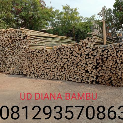 Jual bambu steger 8-10 - Jakarta Utara - UD DIANA BAMBU | Tokopedia