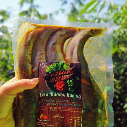 Jual Lele bumbu kuning siap goreng/Frozen food - Kab. Bogor - Dapur ...