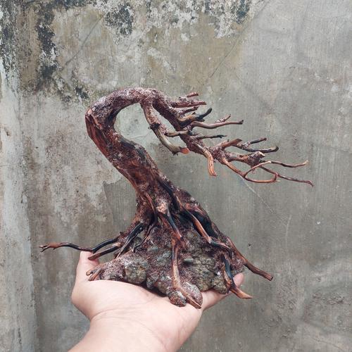 Jual Hardscape Bonsai Aquascape Rasamala (bisa untuk tanaman stem ...