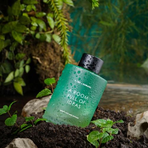 Jual Reed Diffuser - A Room Full of Ideas - Kota Bekasi - Home of ...