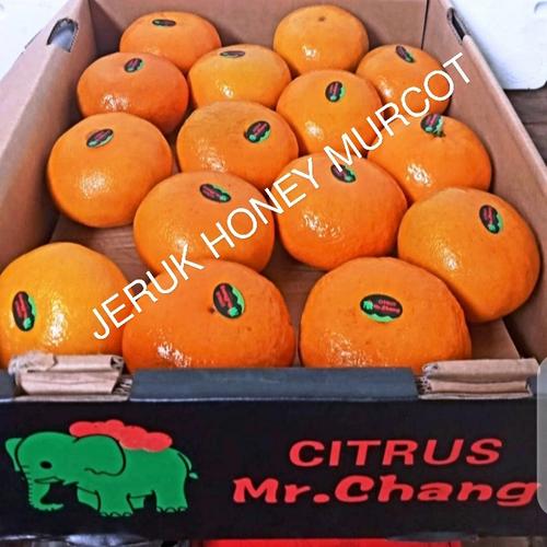 Jual JERUK HONEY MURCOT FRESH PER 1 DUS BERAT -+9 KG - Jakarta Utara ...