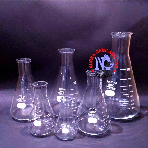 Jual Erlenmeyer Flask atau Tabung Erlenmeyer Iwaki 500 ml - Kota Malang ...