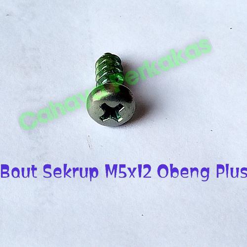 Jual II Baut Sekrup Cacing JP 5X12 Putih Galvanis Berkualitas Motor ...