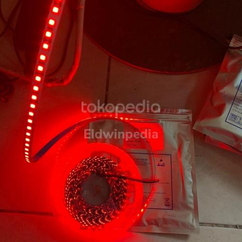 Jual led strip dc 12v 5m meter indoor 2835 600led 120led/meter red ...