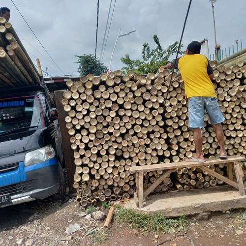 Jual Bambu steger bambu trucuk kaso balok berbagai ukuran dolken gelam ...
