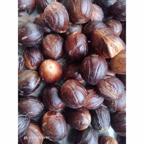 Jual Biji pala kering 1 kg - Kab. Pangandaran - Saaasho | Tokopedia