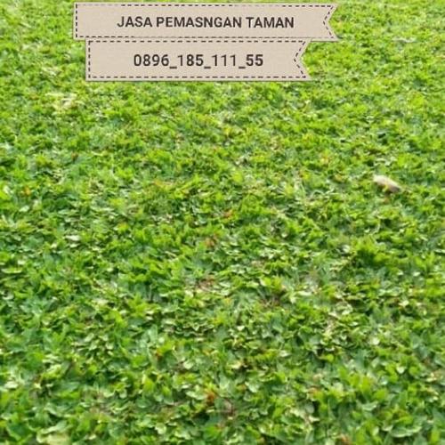 Jual gajah mini 1meter ful - Kab. Bogor - taman indah barkah | Tokopedia