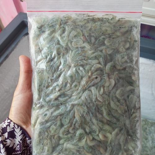Jual udang beku pakan ikan predator 1 kg - Kab. Tangerang - Pojok Fish ...