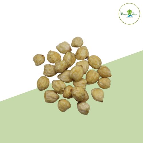 Jual Kemiri (100 gram) - Jakarta Timur - Forever Green Hydroponic ...