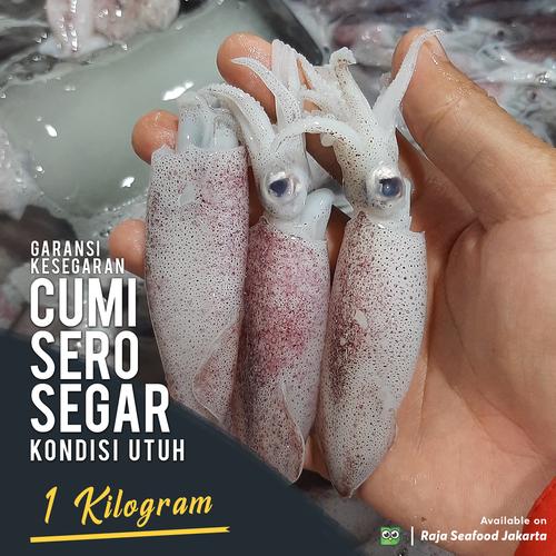 Jual Cumi Sero Segar / Cumi Seri Kecil Fresh / Cumi Segar Fresh - 250 ...