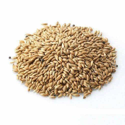Jual makanan/pakan burung/kenari seed/canary seed repack 1kg - Kota ...