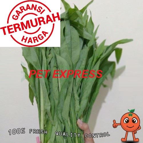 Jual 1kg TERMURAH Sayur Fumak Segar Kumak Kumek Makanan Sulcata Aldabra ...