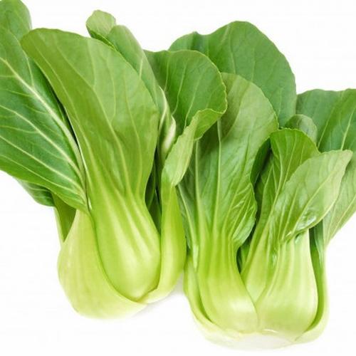 Jual sayur pakcoy - 1/2 kg - Kota Makassar - Enka Online | Tokopedia