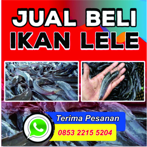 Jual File Spanduk Ikan | CDR Corel | Editabel - Kab. Tasikmalaya ...