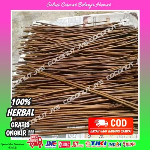 Jual batang paku andam atau kayu resam panjang -+30 cm - Kab ...