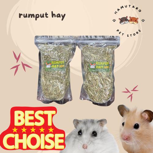 Jual Rumput Hay ( alfafa hay ) Makanan Kelinci marmut hamster - Kota ...