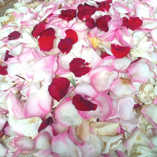 Jual Bunga Tabur utk Makam / Bunga Makam /Bunga Tabur / Bunga Pesta - L ...