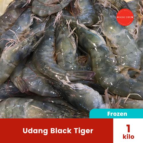 Jual Udang Black Tiger Prawn Ukuran 35 -40 Pc/Kg - Kab. Tangerang ...