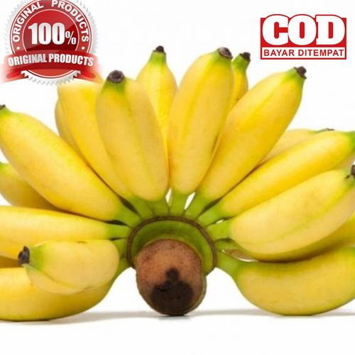 Jual BUAH PISANG MULI_PISANG MULIN 1 KG - Kab. Cilacap - aksa abayomi ...