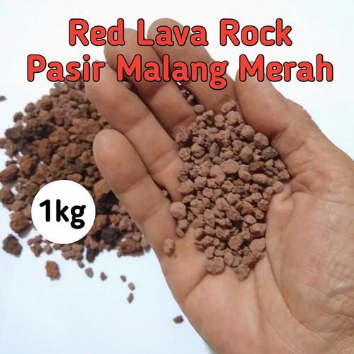 Jual pasir malang merah 1 kg / Red Lava Rock / Batu Warna Ikan Channa ...
