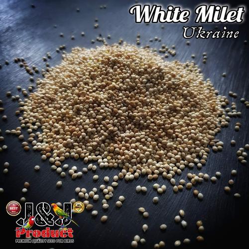 Jual Millet 1kg all variants (Putih, Creamy, Merah) - Merah - Jakarta ...
