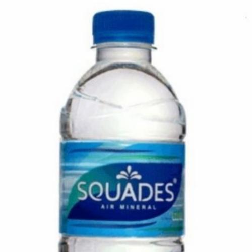 Jual squades 330 ml isi 24botol air mineral dalam kemasan - Kota ...